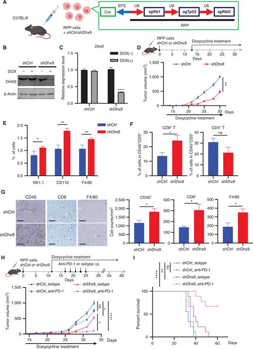 Targeting DHX9 Triggers Tumor-Intrinsic Interferon Response and ...