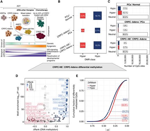 Noninvasive Detection Of Neuroendocrine Prostate Cancer Through
