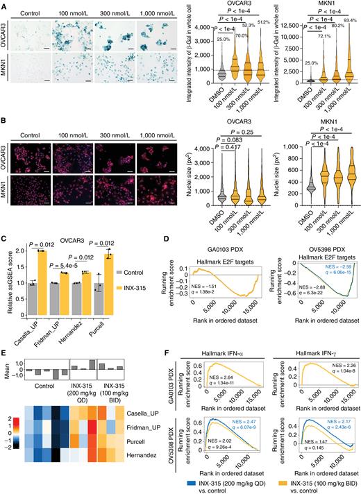 INX-315, a Selective CDK2 Inhibitor, Induces Cell Cycle Arrest and ...
