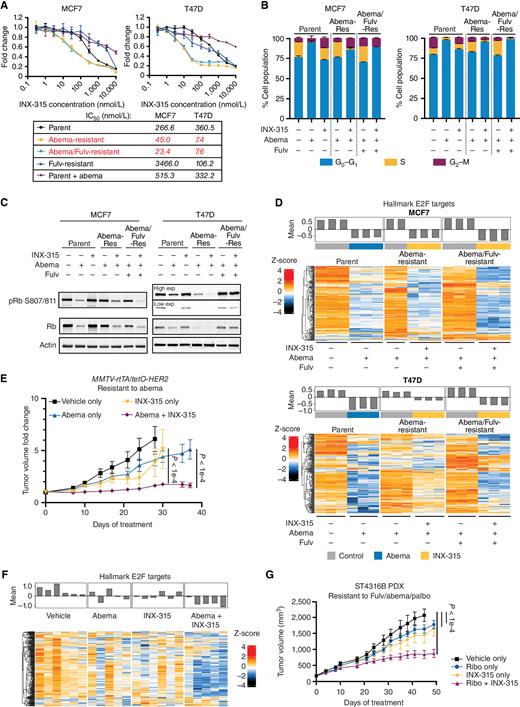INX-315, a Selective CDK2 Inhibitor, Induces Cell Cycle Arrest and Senescence in Solid Tumors ...