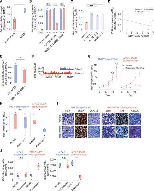 Passenger Gene Coamplifications Create Collateral Therapeutic ...