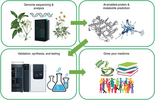 Biodiversity Medicine: New Horizon and New Opportunity for Cancer ...