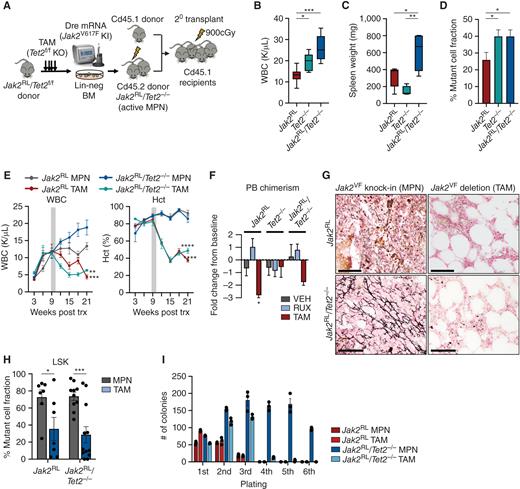Jak2V617F Reversible Activation Shows Its Essential Requirement in ...