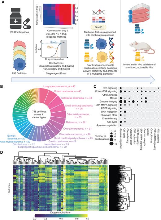 Large-scale Pan-cancer Cell Line Screening Identifies Actionable and ...