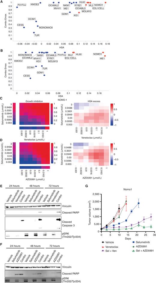 Large-scale Pan-cancer Cell Line Screening Identifies Actionable and ...