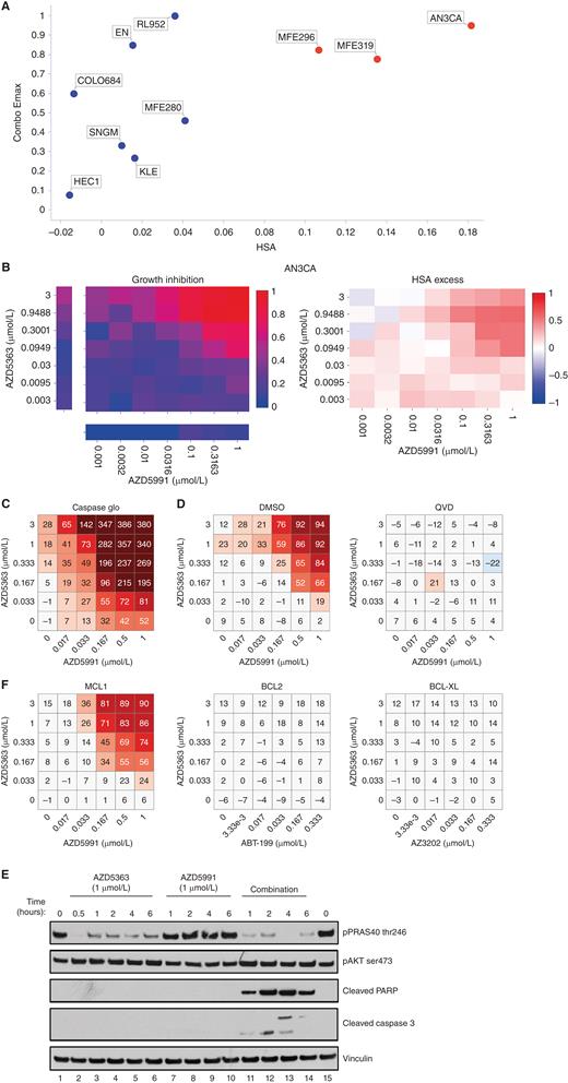 Large-scale Pan-cancer Cell Line Screening Identifies Actionable and ...