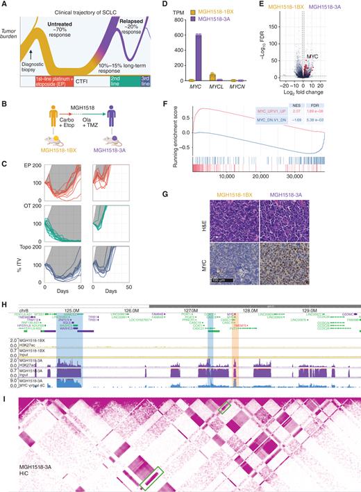 Acquired Cross-Resistance in Small Cell Lung Cancer due to ...