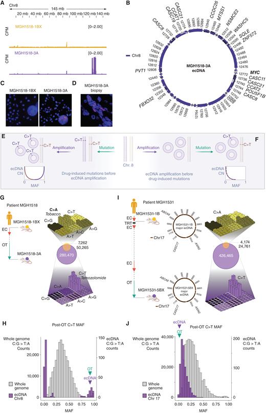 Acquired Cross-Resistance in Small Cell Lung Cancer due to ...