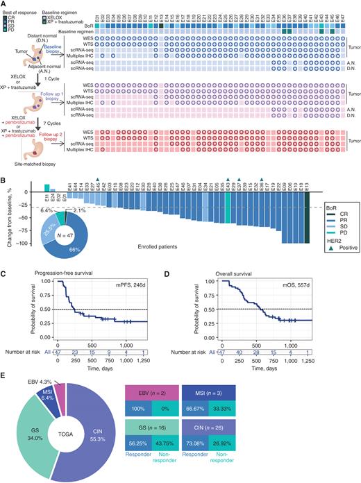 Early Immune Remodeling Steers Clinical Response to First-Line ...