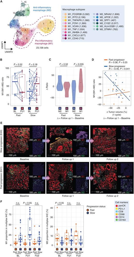 Early Immune Remodeling Steers Clinical Response to First-Line ...