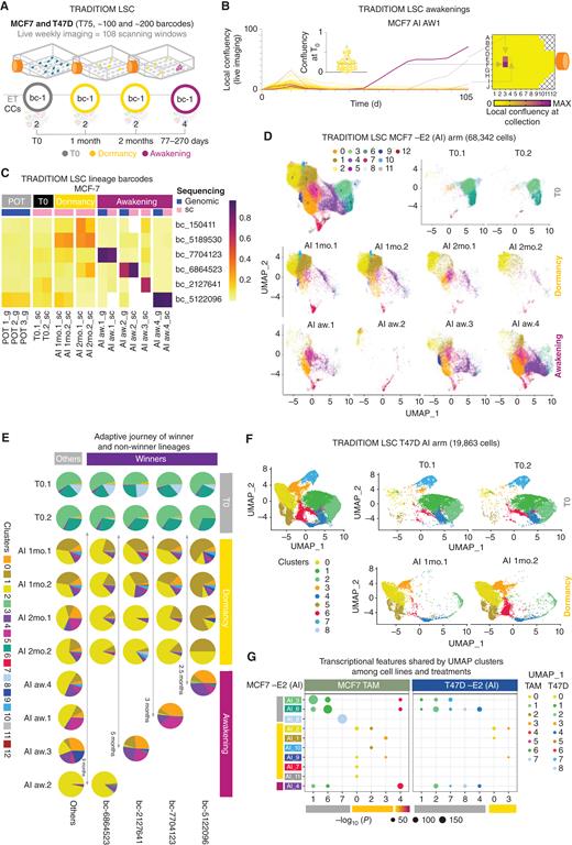 Long-term Multimodal Recording Reveals Epigenetic Adaptation Routes in ...