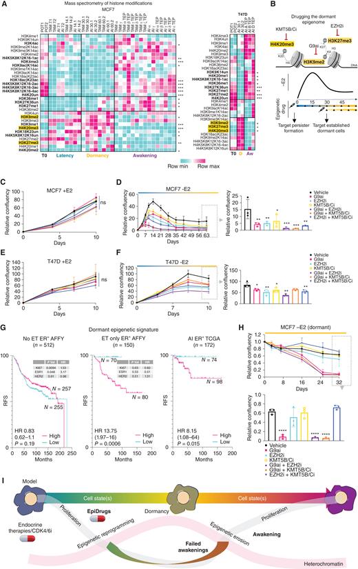 Long-term Multimodal Recording Reveals Epigenetic Adaptation Routes in ...