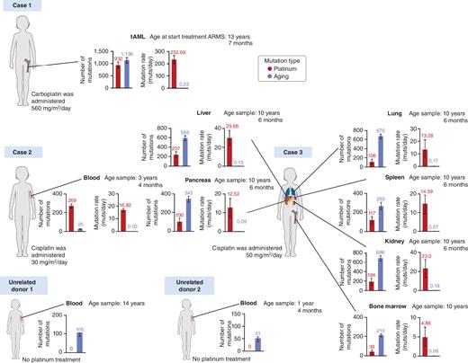 Origins of Second Malignancies in Children and Mutational Footprint of ...
