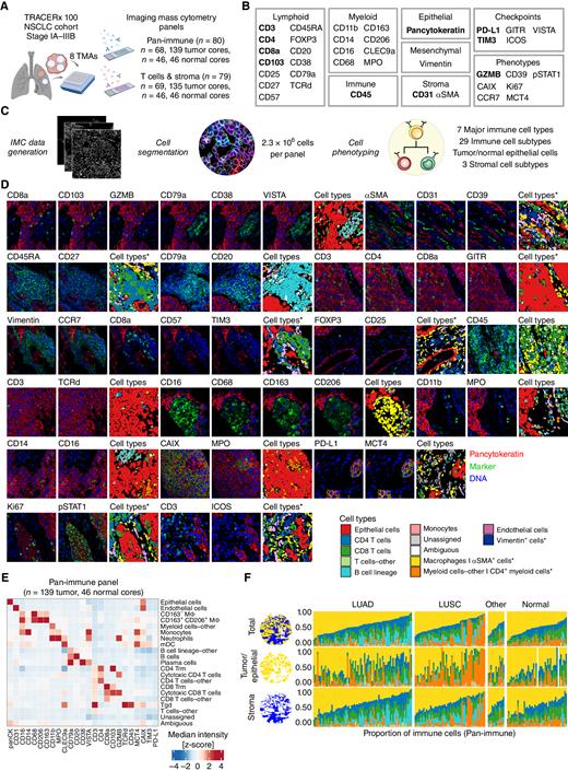 Spatial Architecture of Myeloid and T Cells Orchestrates Immune Evasion ...