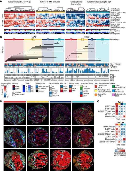Spatial Architecture of Myeloid and T Cells Orchestrates Immune Evasion ...