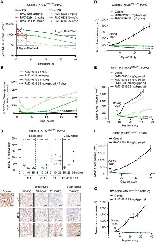 Translational and Therapeutic Evaluation of RAS-GTP Inhibition by RMC ...