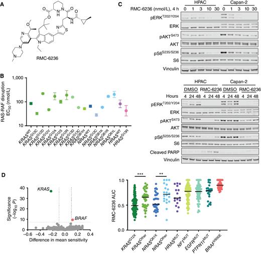Translational and Therapeutic Evaluation of RAS-GTP Inhibition by RMC ...