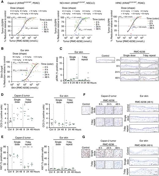 Translational and Therapeutic Evaluation of RAS-GTP Inhibition by RMC ...
