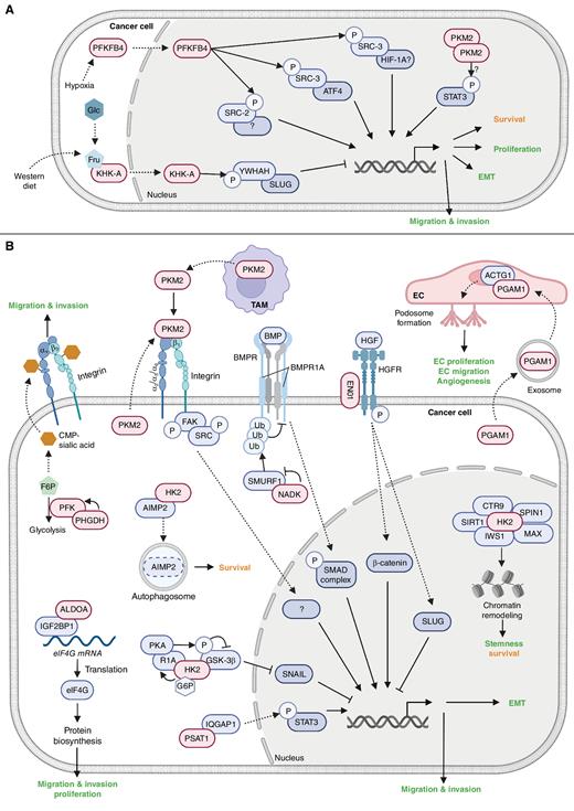 Metabolic Signaling in Cancer Metastasis | Cancer Discovery | American ...