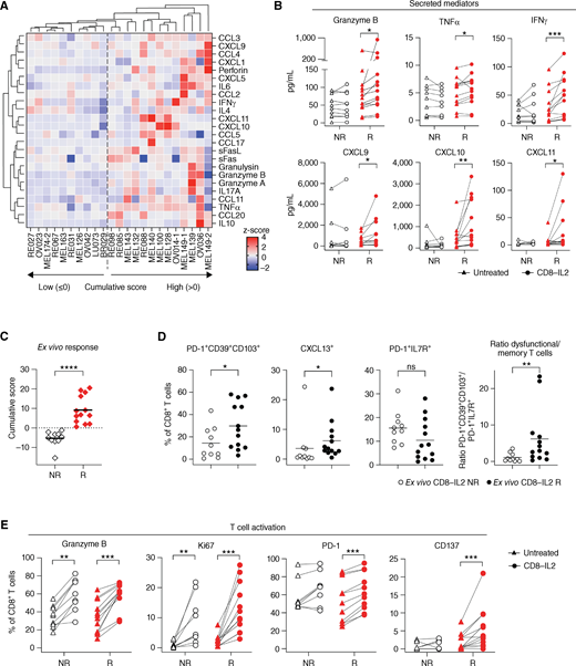 CD8-Targeted IL2 Unleashes Tumor-Specific Immunity in Human Cancer ...
