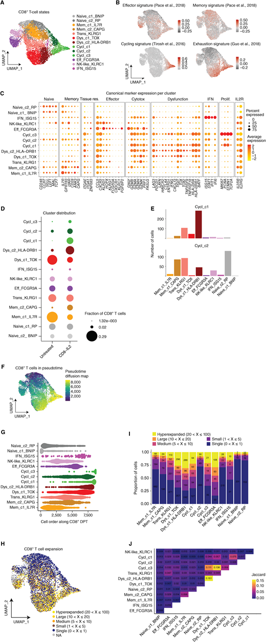 CD8-Targeted IL2 Unleashes Tumor-Specific Immunity in Human Cancer Tissue by Reviving the ...