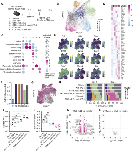 IL2 Targeted to CD8+ T Cells Promotes Robust Effector T-cell Responses ...