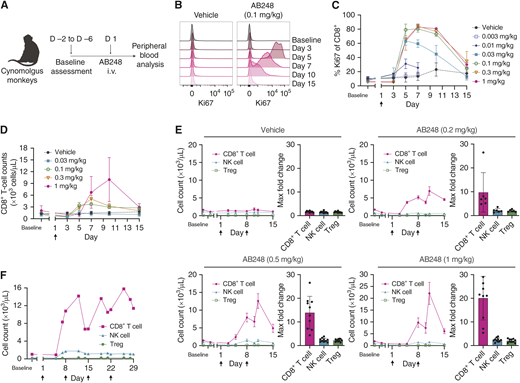 IL2 Targeted to CD8+ T Cells Promotes Robust Effector T-cell Responses ...
