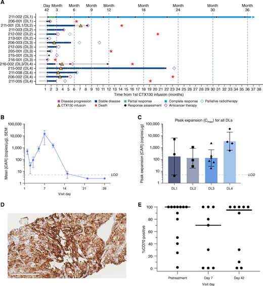 CD70-Targeted Allogeneic CAR T-Cell Therapy for Advanced Clear Cell ...