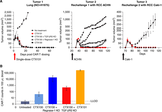 CD70-Targeted Allogeneic CAR T-Cell Therapy for Advanced Clear Cell ...