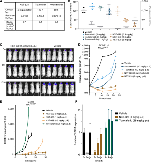 The Pan-RAF–MEK Nondegrading Molecular Glue NST-628 Is a Potent and ...