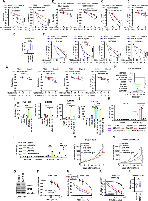 BRCA1-Mediated Dual Regulation of Ferroptosis Exposes a Vulnerability ...