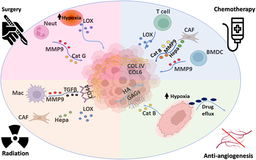 The Interplay between Extracellular Matrix Remodeling and Cancer ...