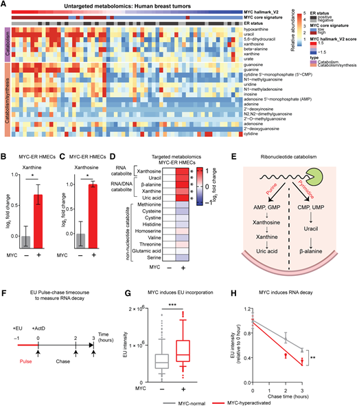 MYC Induces Oncogenic Stress through RNA Decay and Ribonucleotide Catabolism in Breast Cancer ...