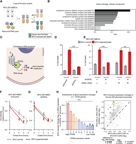 MYC Induces Oncogenic Stress through RNA Decay and Ribonucleotide ...