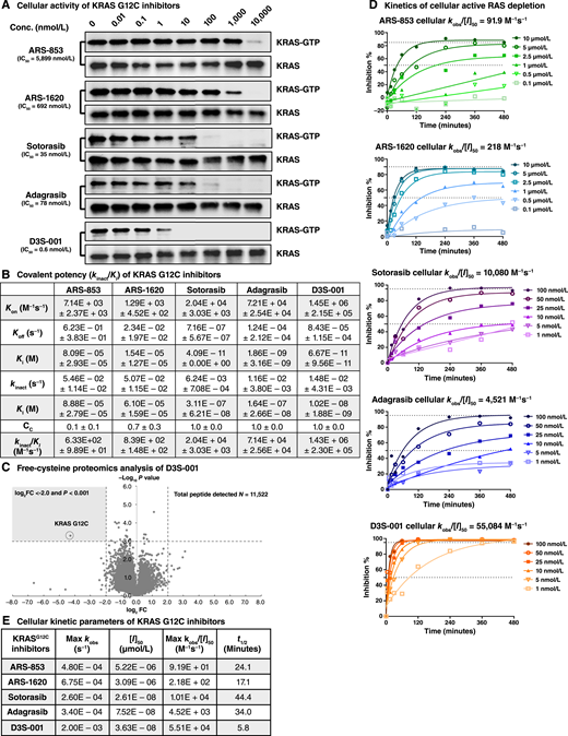 D3S-001, a KRAS G12C Inhibitor with Rapid Target Engagement Kinetics ...