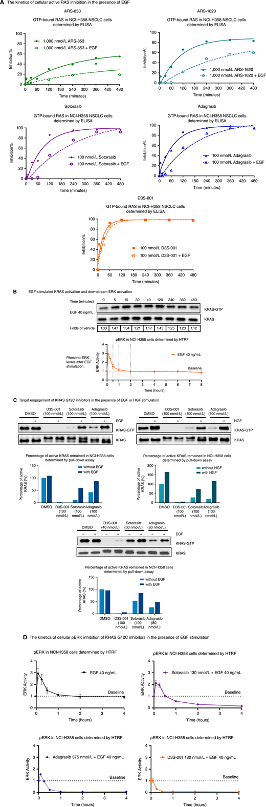 D3S-001, a KRAS G12C Inhibitor with Rapid Target Engagement Kinetics ...