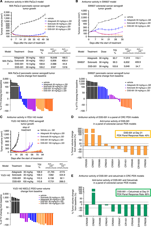 D3S-001, a KRAS G12C Inhibitor with Rapid Target Engagement Kinetics ...