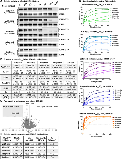 D3S-001, a KRAS G12C Inhibitor with Rapid Target Engagement Kinetics ...
