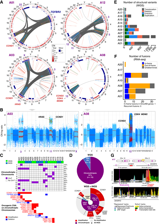 Chromothripsis-Mediated Small Cell Lung Carcinoma | Cancer Discovery ...