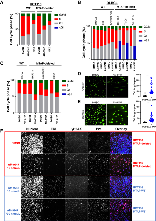 AMG 193, a Clinical Stage MTA-Cooperative PRMT5 Inhibitor, Drives ...