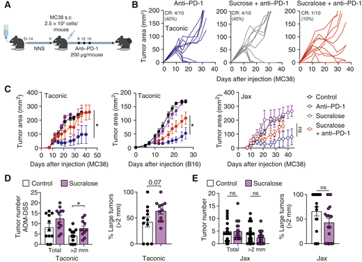 Sucralose Consumption Ablates Cancer Immunotherapy Response through ...