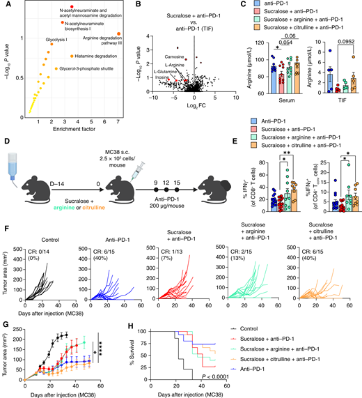 Sucralose Consumption Ablates Cancer Immunotherapy Response through ...