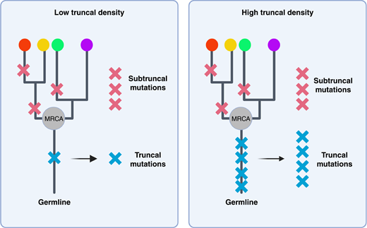 The Evolutionary Forest of Pancreatic Cancer | Cancer Discovery ...