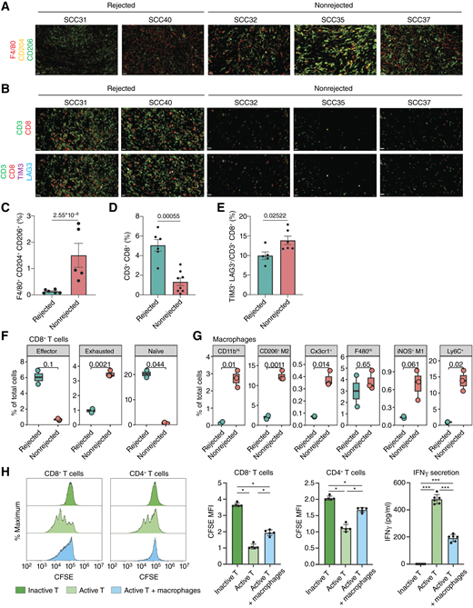 Temporal Genomic Analysis of Homogeneous Tumor Models Reveals Key ...