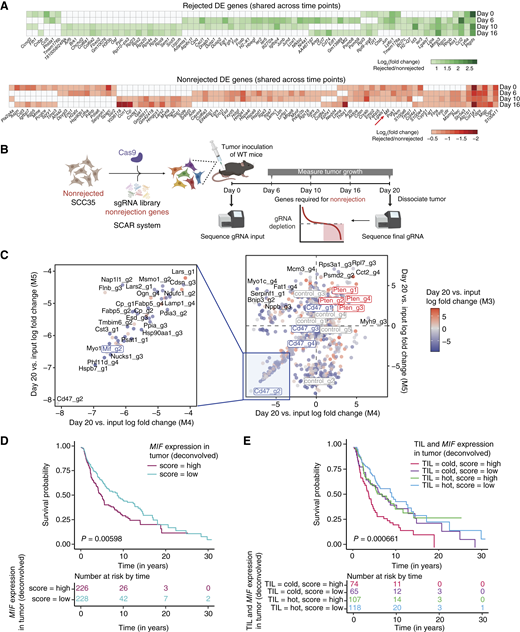 Temporal Genomic Analysis of Homogeneous Tumor Models Reveals Key ...
