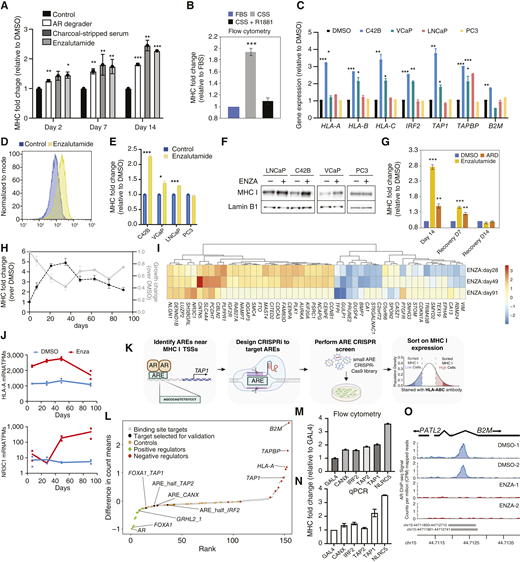 Androgen Receptor Inhibition Increases MHC Class I Expression and ...