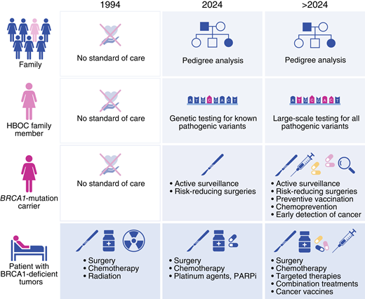Thirty Years of BRCA1: Mechanistic Insights and Their Impact on ...