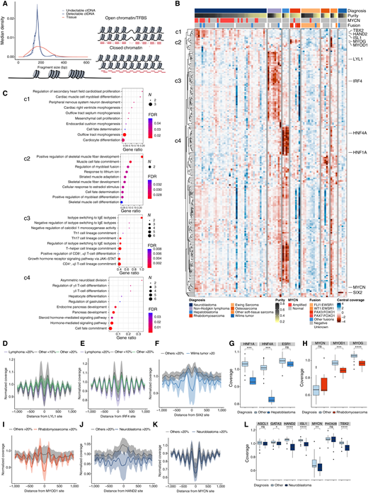 Stratified Medicine Pediatrics: Cell-Free DNA and Serial Tumor ...