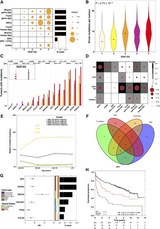 The Germline and Somatic Origins of Prostate Cancer Heterogeneity ...