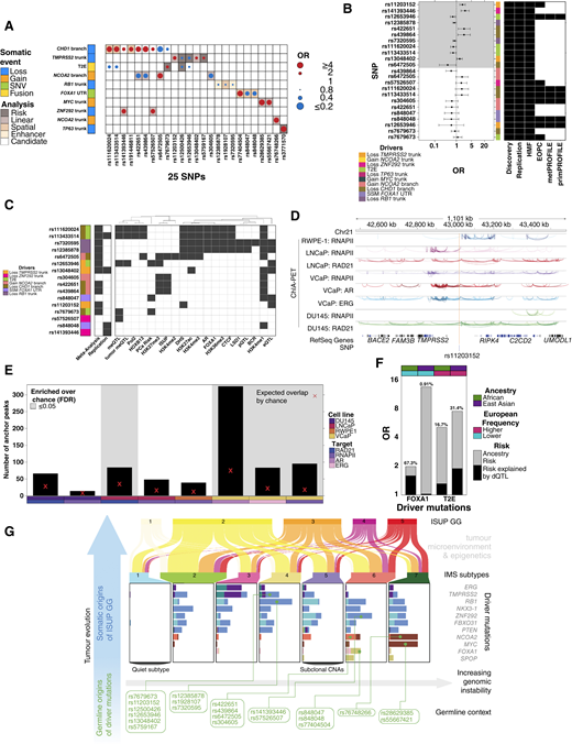 The Germline and Somatic Origins of Prostate Cancer Heterogeneity ...